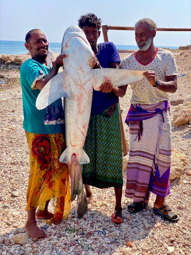 People – Socotra Advisor Tours